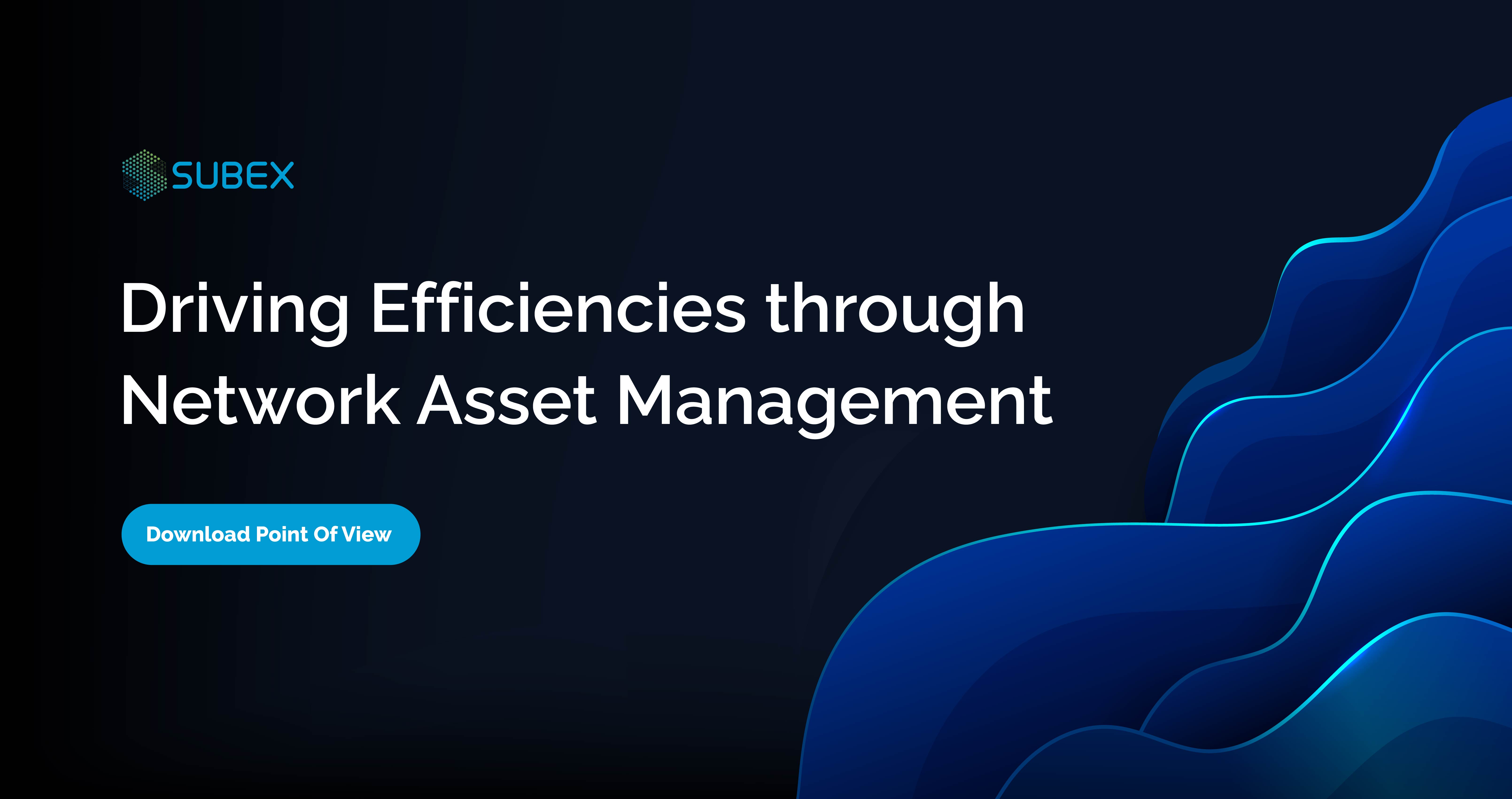 Driving Efficiencies through Network Asset Management